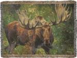 Bull Moose & Cow Moose, wildlife moose cotton throw blankets, furniture ...